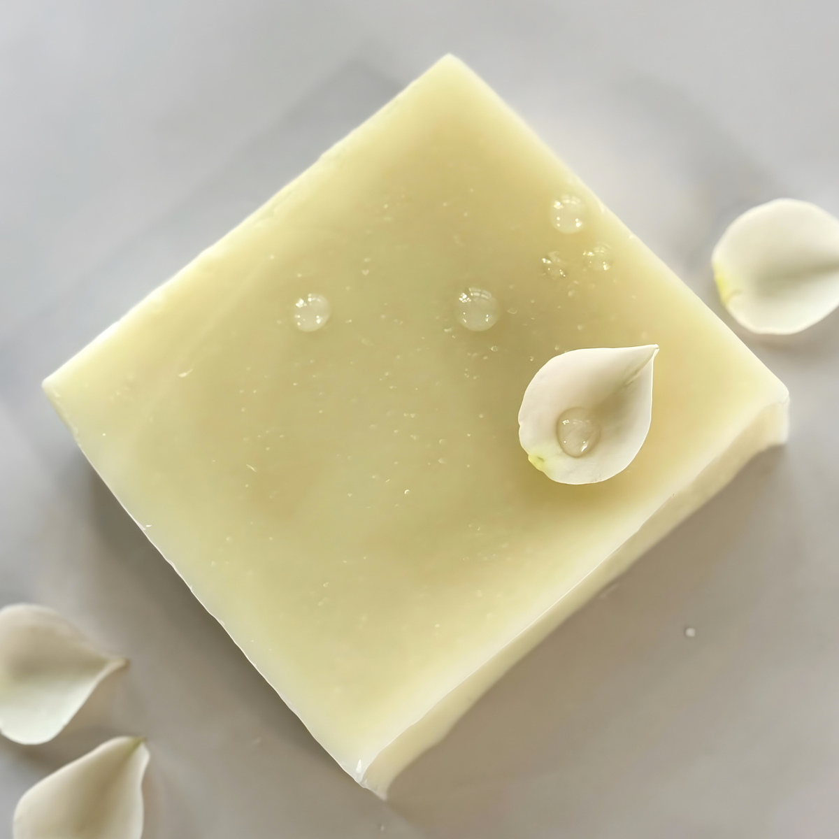 Tallow Body Soap Bar - Nourishing & Gentle Cleanser – Clara & Fritz ...